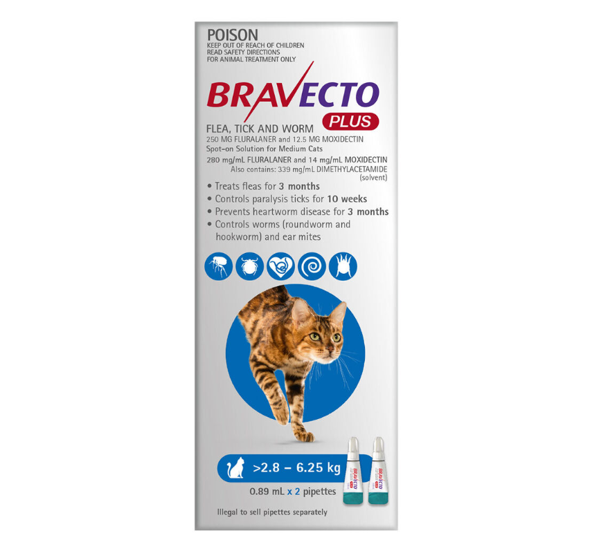 Bravecto Plus Spot-on Cat 2.8-6.25kg - 2 pack | Veterinary Dermatology ...