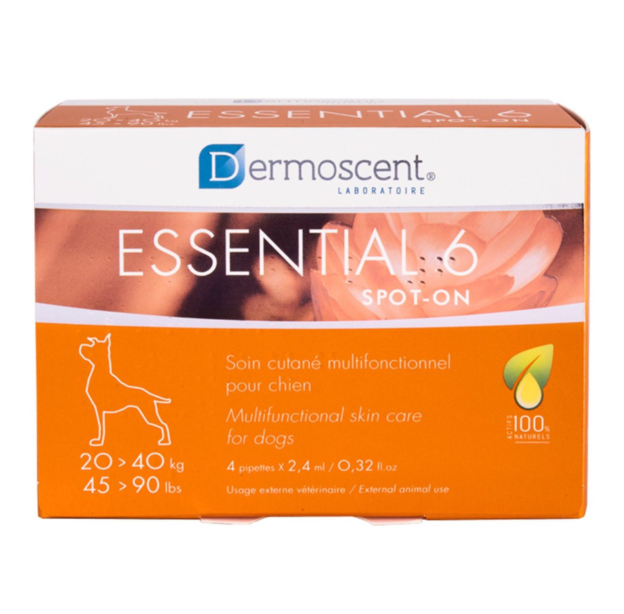 Essential 6 - Large Dog (20-40kg) - 4 pack | Veterinary Dermatology ...